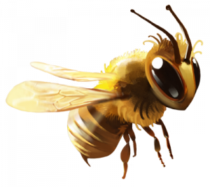 Exaltado – EBV 2025 – Maestro – APDM Niños